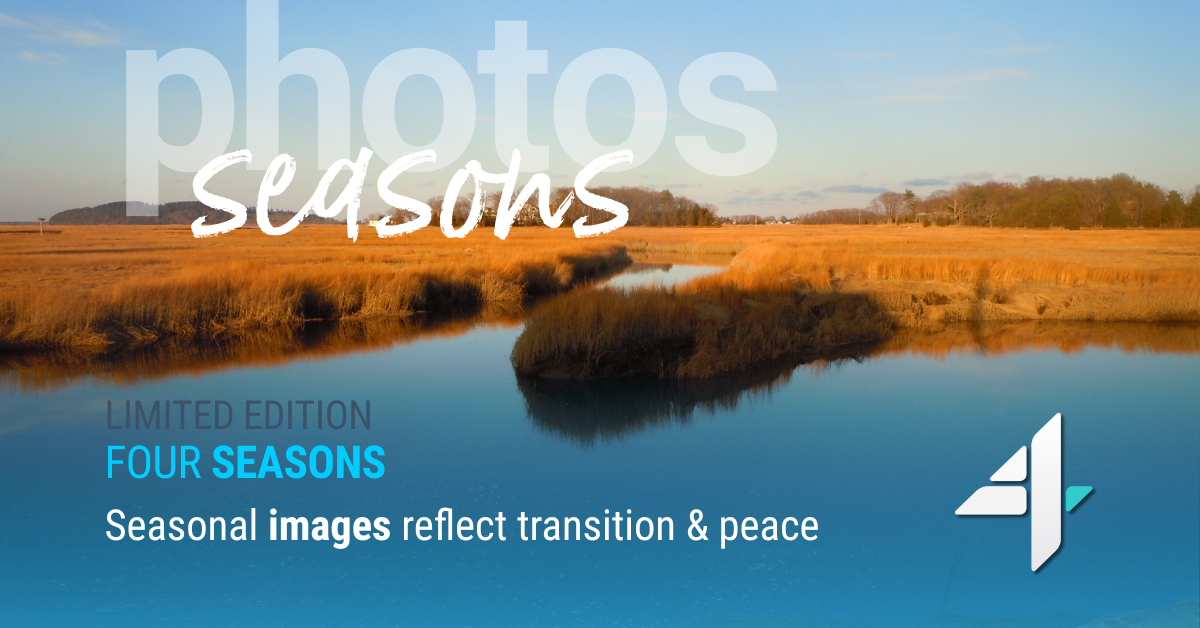 PHOTOGRAPHY-SEASONS – 4EFFECT DESIGN